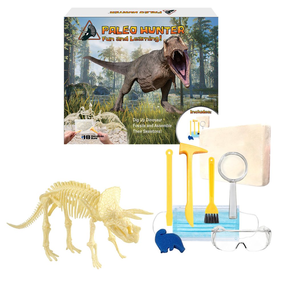 Beginner Level Deluxe STEAM/STEM Kit | SchoolMart