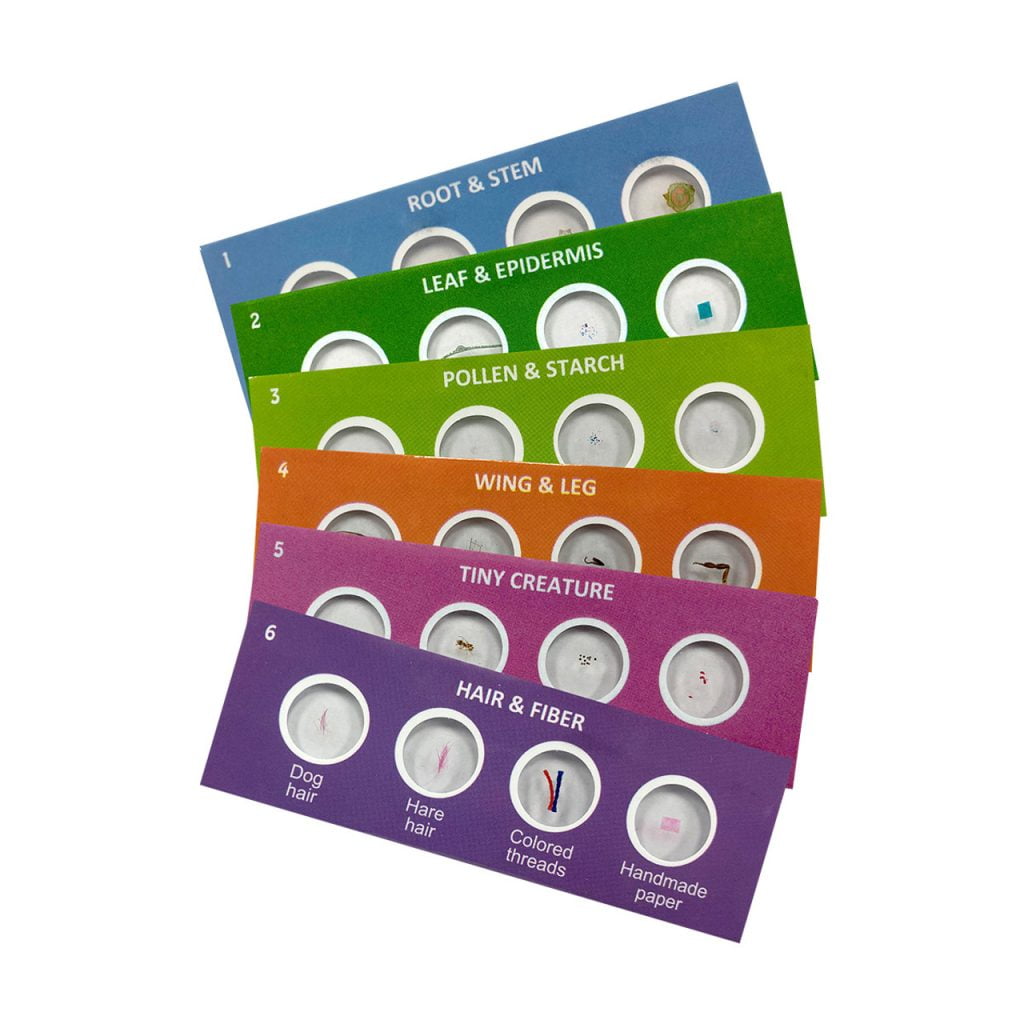 Beginner Level Deluxe STEAM/STEM Kit | SchoolMart